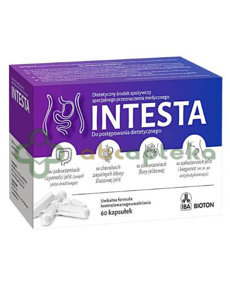 Intesta, 60 kapsułek w Apteka Internetowa ABCapteka.pl